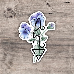 Capricorn Zodiac Sticker - Etsy