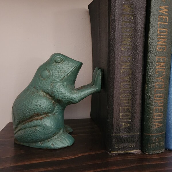 Frog Book - Etsy