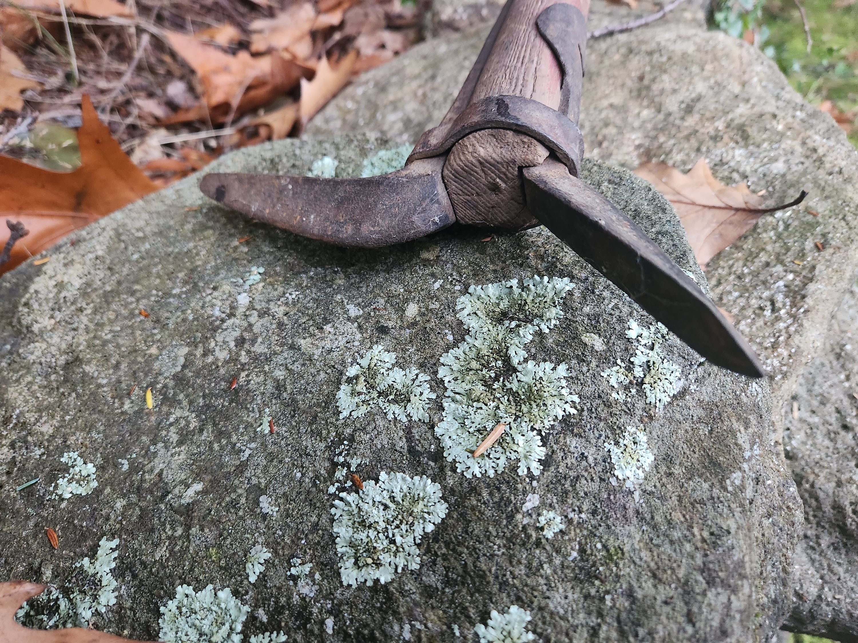 Antique Gifford Wood Co. Ice Harvesting Pike/pole or Logging Tool - on ...