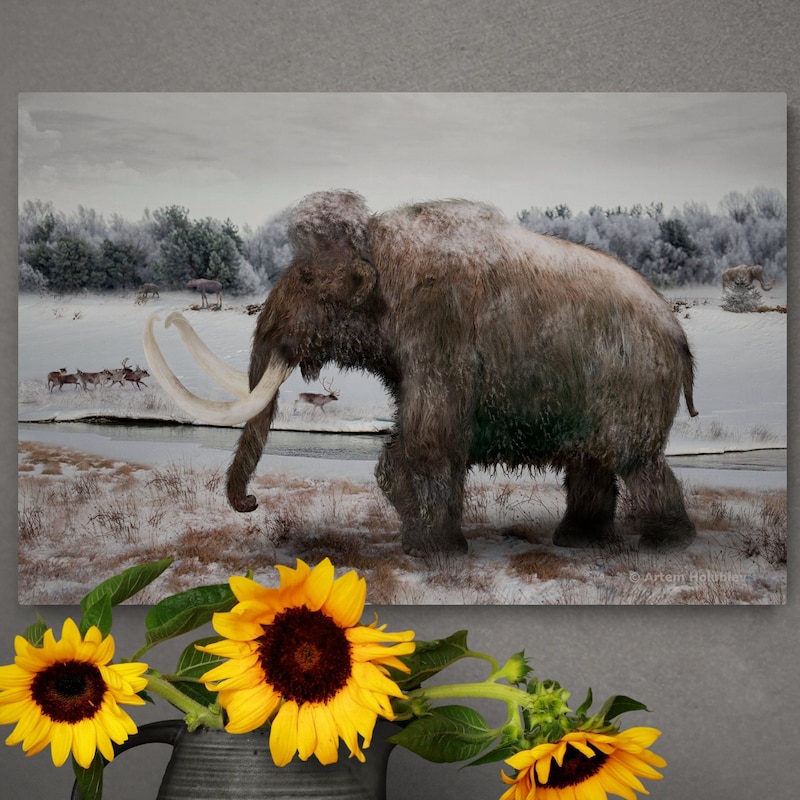 Woolly Mammoth - Etsy