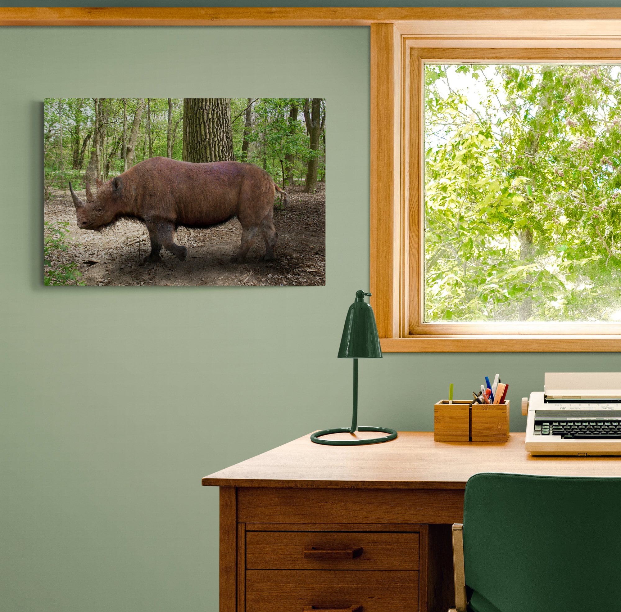 Extra Large Wall Art Woolly Merck's Rhino. Paleoart Canvas Prints - Etsy