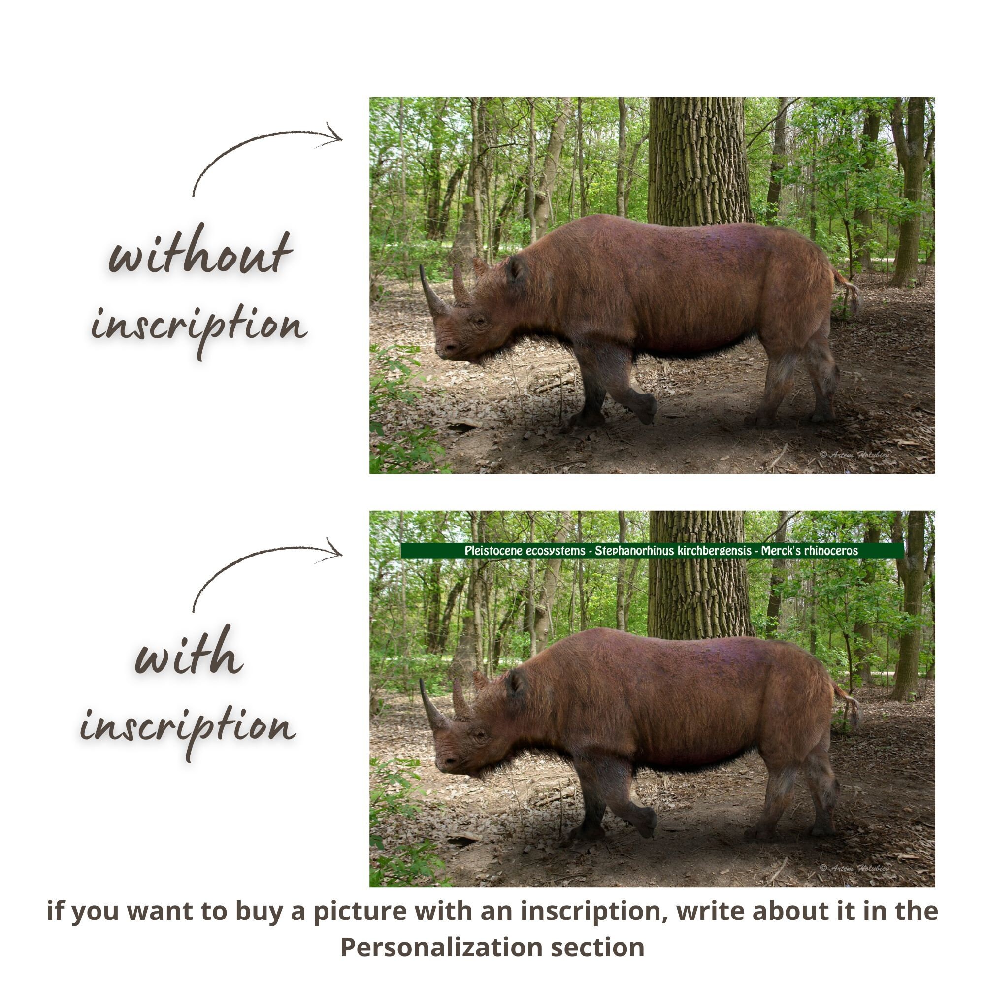 Extra Large Wall Art Woolly Merck's Rhino. Paleoart Canvas Prints - Etsy