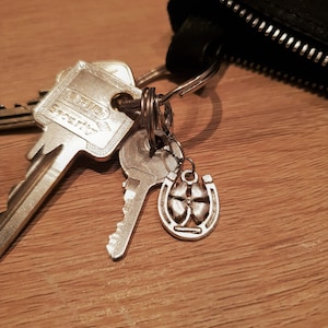 Good Luck Keyring,luck Increase Souvenir, Lucky Charm, Wealth Amulet ...