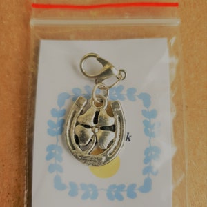 Good Luck Keyring,luck Increase Souvenir, Lucky Charm, Wealth Amulet ...