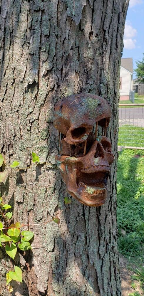 Rust Skull Bird Cage - Etsy
