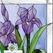 Iris Stained Glass Pattern .PDF Digital Instant Download Advance Level ...