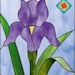 Iris Flower Stained Glass Pattern - Digital PDF File Instant Download ...