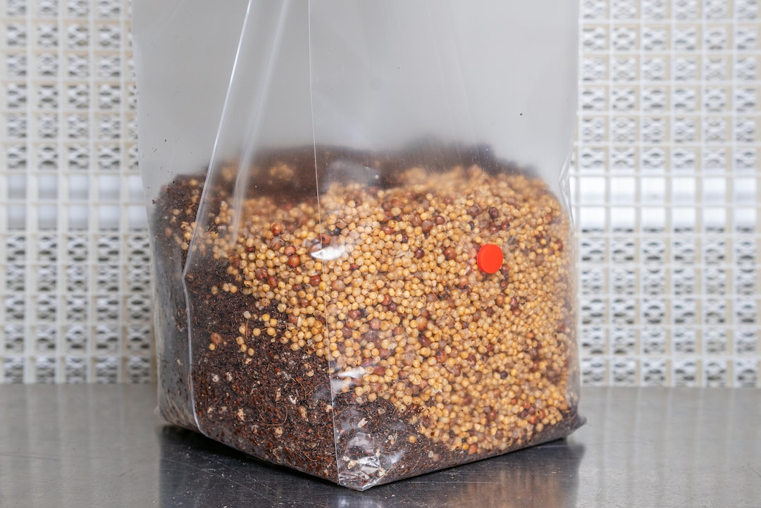 The All-in-one "cultivator" Traditional Spawn Grow Bag - Sterilized - Etsy