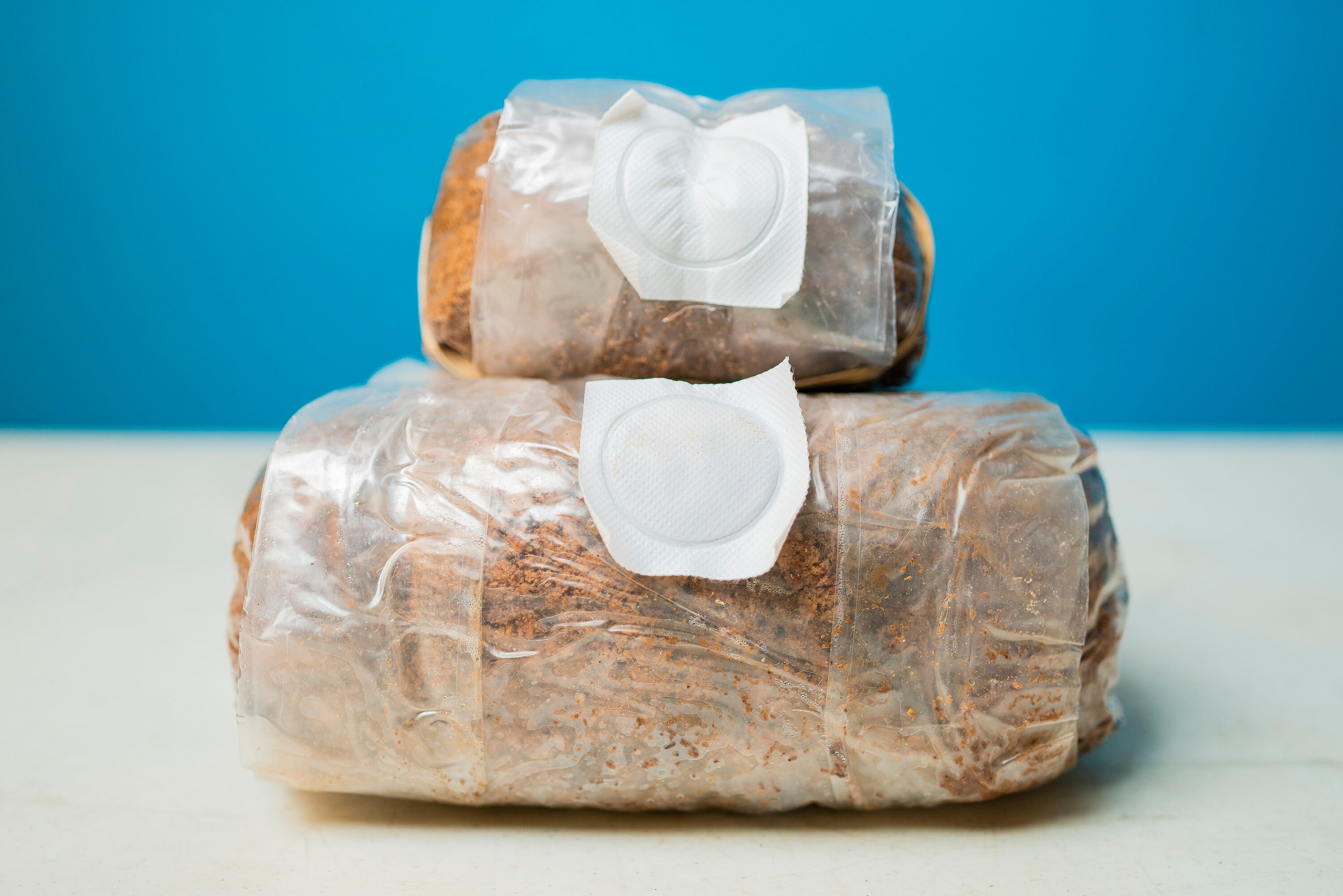 The Ultimate master's Mix 2.0 Growth Substrate - Etsy