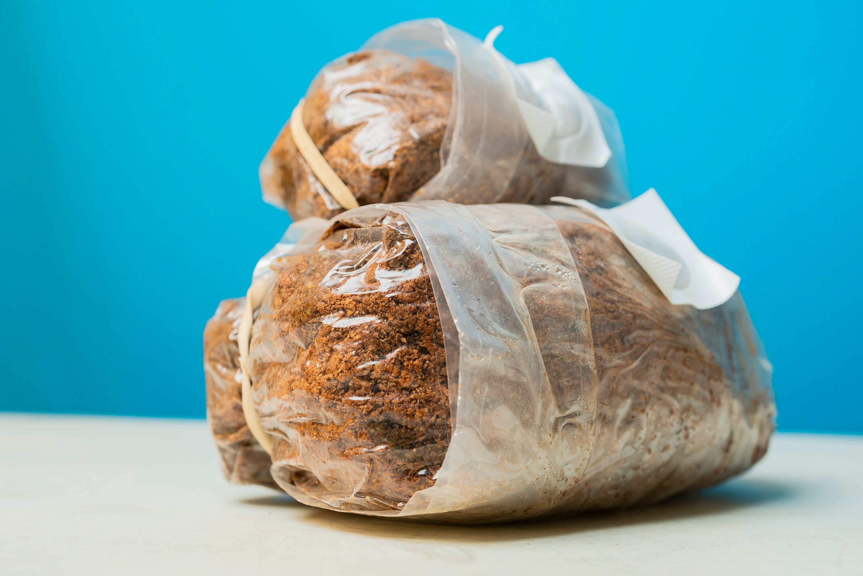 The Ultimate master's Mix 2.0 Growth Substrate - Etsy