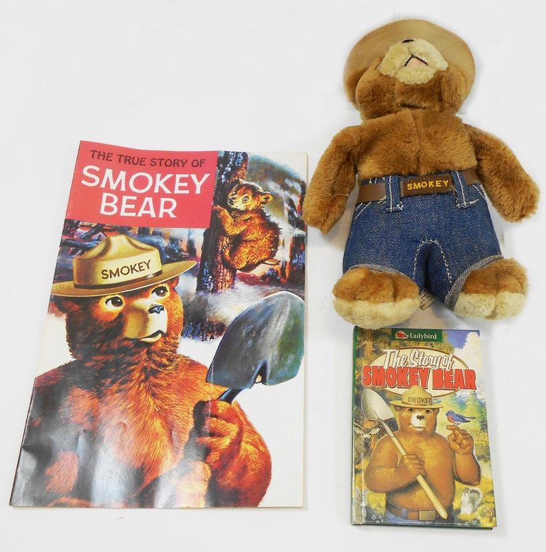 Big Box Full of Goodies, Talking Arthur Toy, Smokey the Bear Figure ...