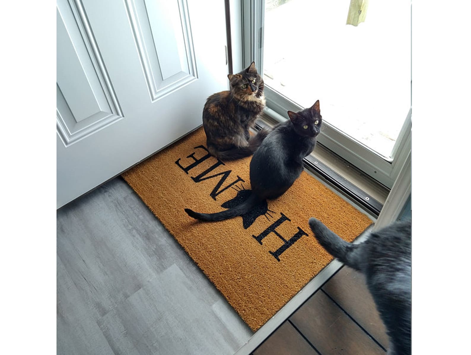 Custom Cat Doormat: Natural Coir Personalized Welcome Mat - Etsy