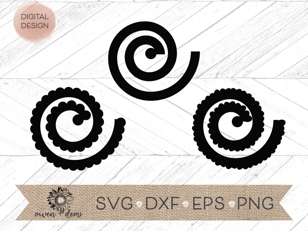Rollo flor svg Rosa enrollada flor svg Quilled flower svg - Etsy España