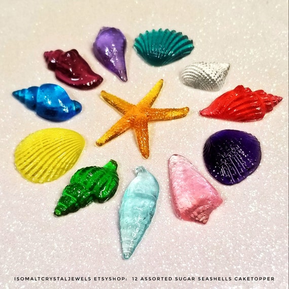 12 Assorted Sugar Seashells for Ocean Theme Cakes Custom - Etsy