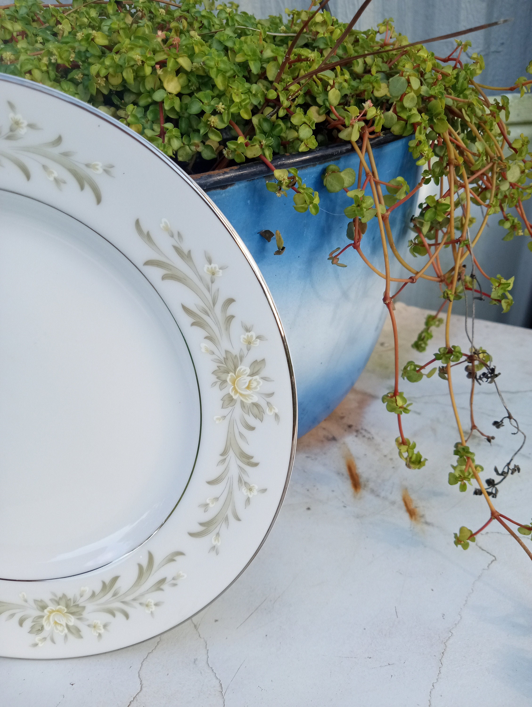 6 Grace Rhapsody Fine China of Japan Dessert Plates - Etsy