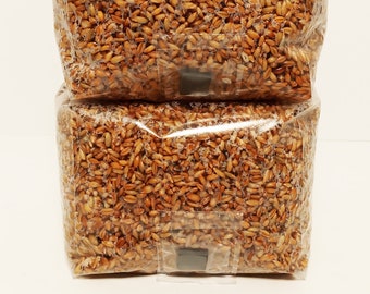 Sterilized Rye Berry Mushroom Substrate With Self Healing - Etsy