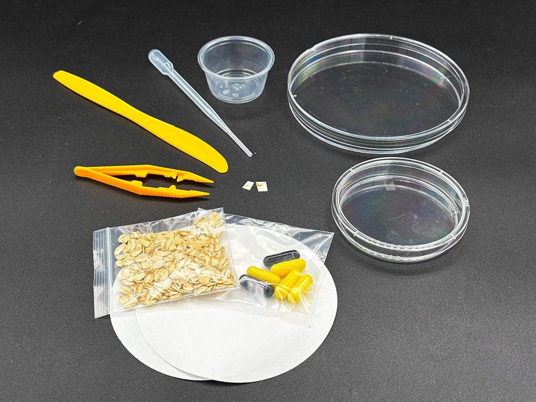 Slime Mold Science Kit: Physarum Polycephalum, STEM Education - Etsy
