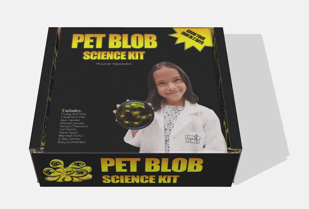 Slime Mold Science Kit (physarum Polycephalum) - Etsy