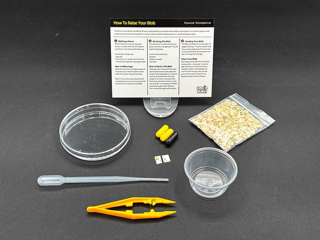 Explorer Slime Mold Science Kit: Physarum Polycephalum - Etsy