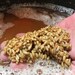 Sterilized Rye Berries Mushroom Substrate Bags for Grain Spawn 12 X 1 ...
