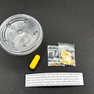 Mini Blob Kit -slime Mold - Physarum Polycephalum - Etsy