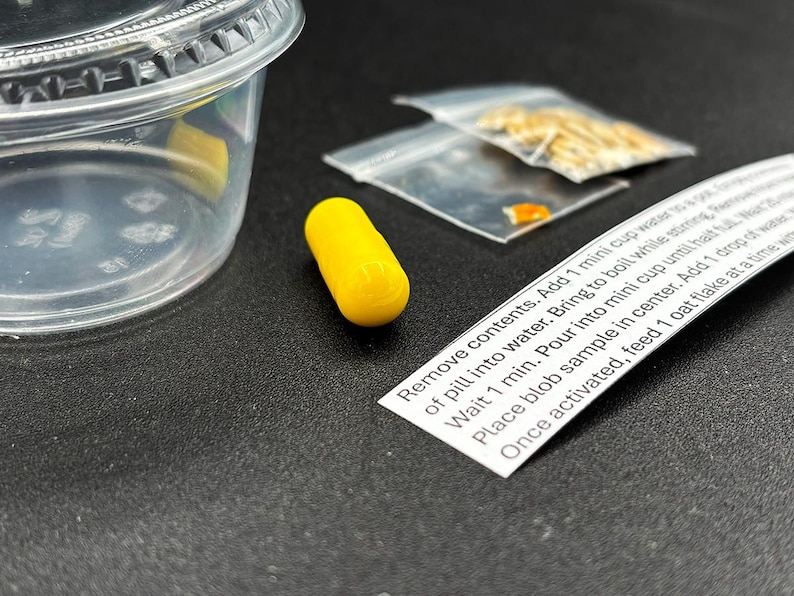 Mini Blob Kit -slime Mold - Physarum Polycephalum - Etsy