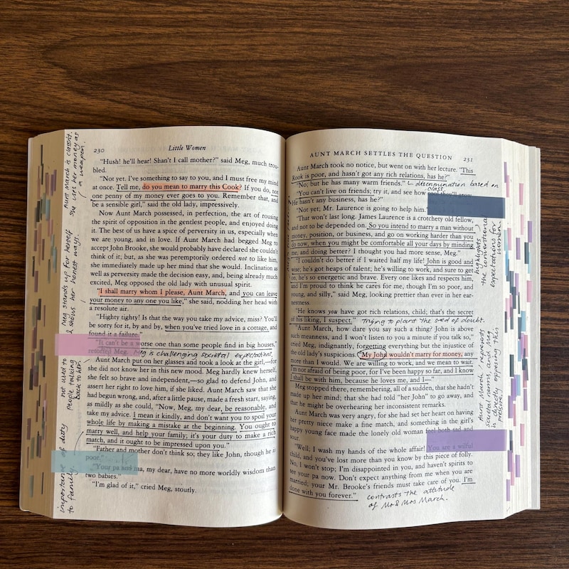 Classic Annotated Book - Etsy