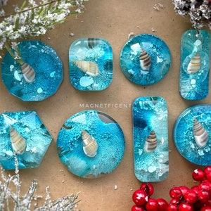 Seashell Magnet Set of 8 Ocean Magnet for Fridge, Cute Desk Accessories ...
