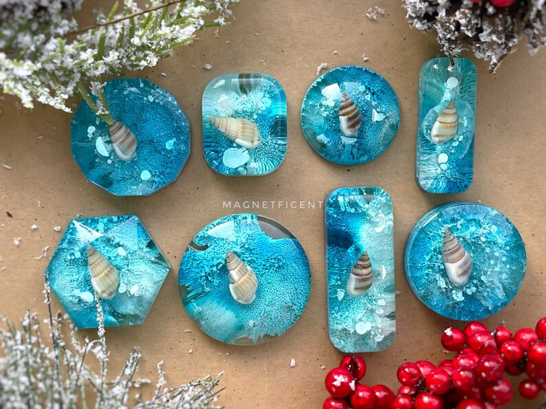 Seashell Magnet Set of 8 Ocean Magnet for Fridge, Cute Desk Accessories ...