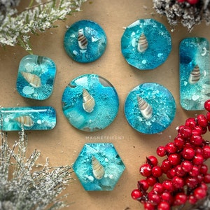 Seashell Magnet Set of 8 Ocean Magnet for Fridge, Cute Desk Accessories ...