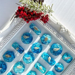 Seashell Magnet Set of 8 Ocean Magnet for Fridge, Cute Desk Accessories ...