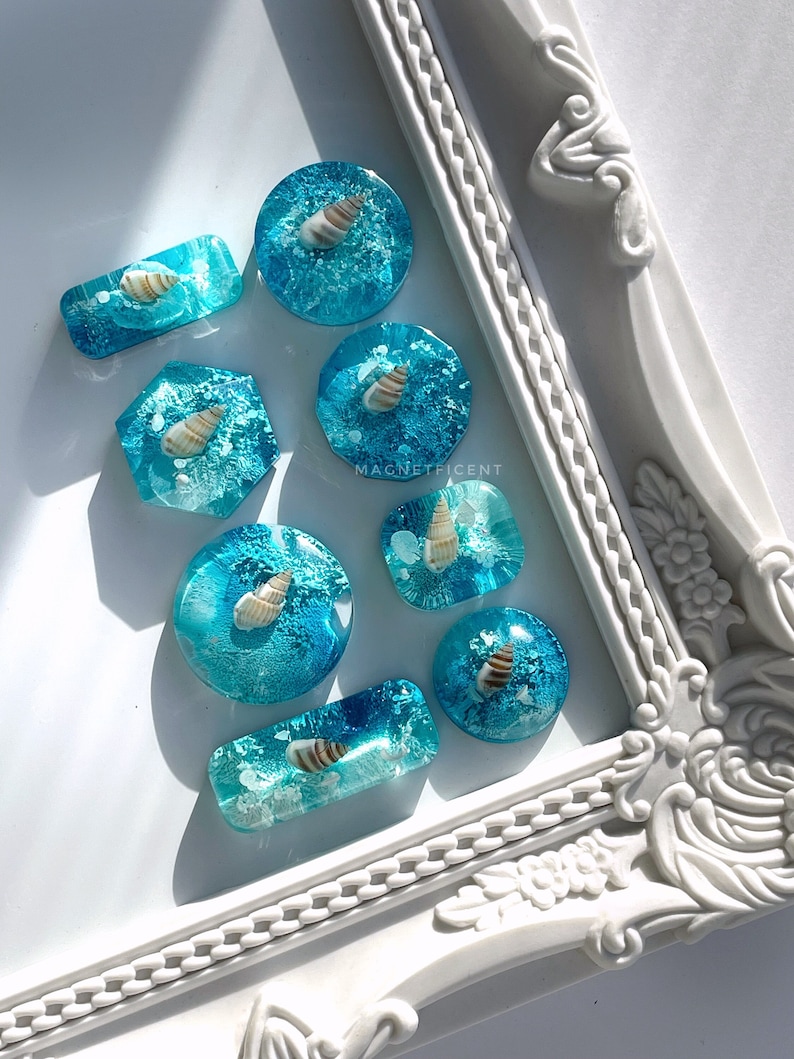 Seashell Magnet Set of 8 Ocean Magnet for Fridge, Cute Desk Accessories ...