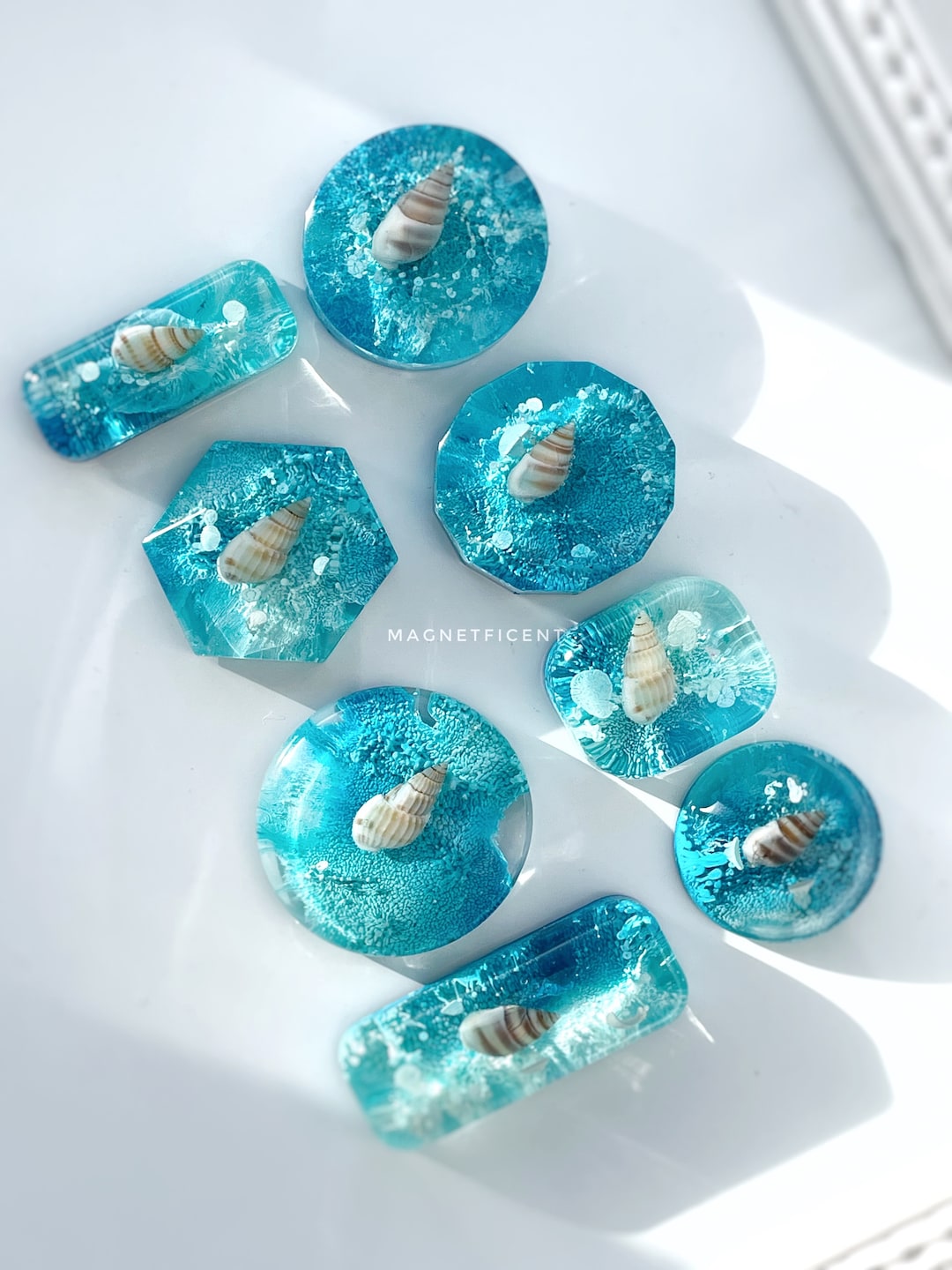 Seashell Magnet Set of 8 Ocean Magnet for Fridge, Cute Desk Accessories ...