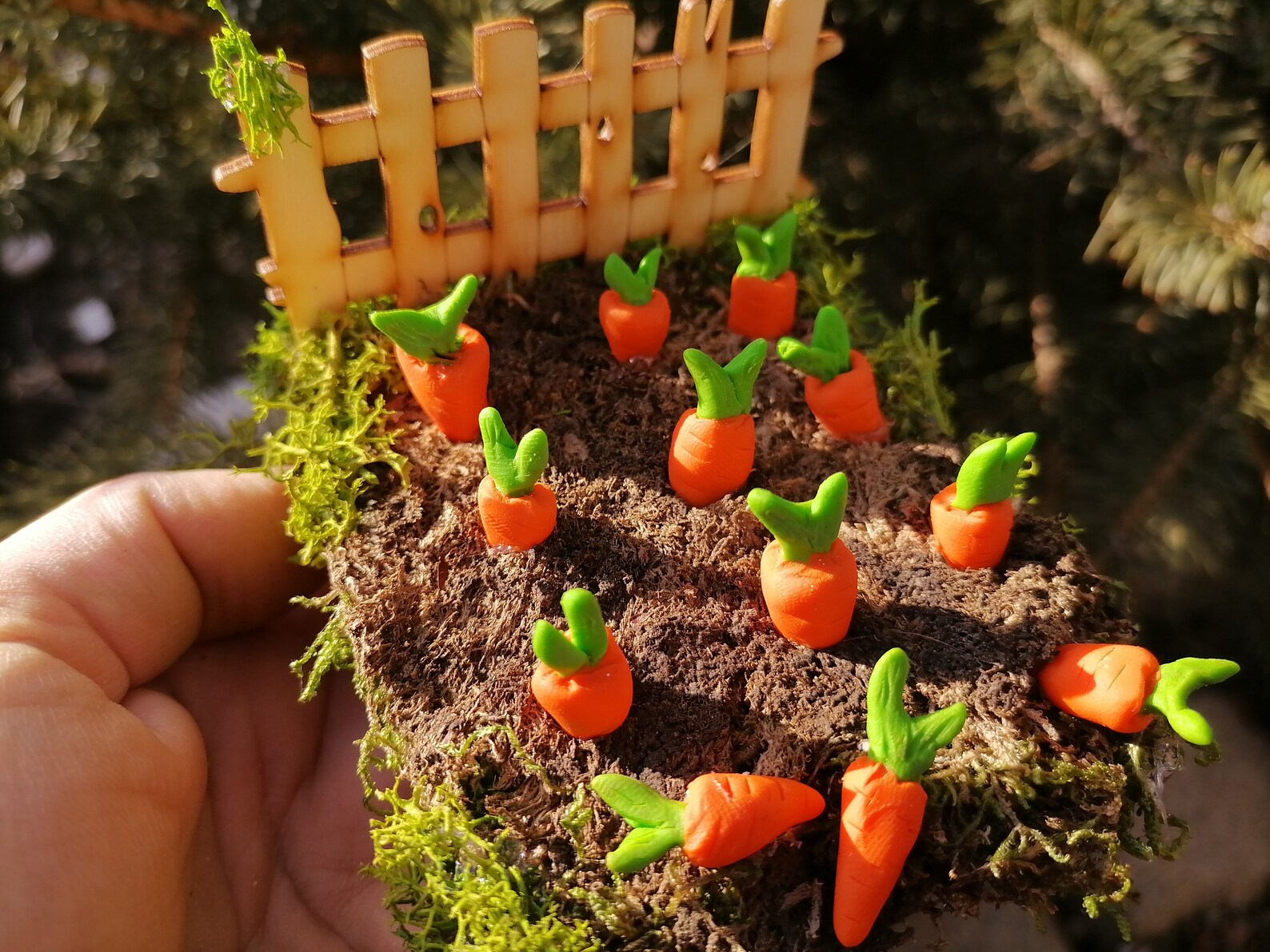 Fairy Garden Carrot Patch Miniature Carrots Carrot Patch - Etsy