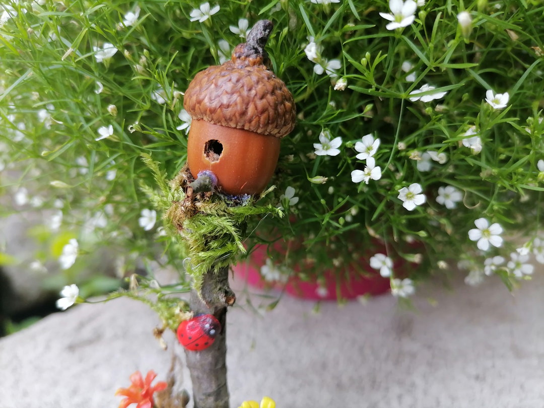 Miniature Acorn Birdhouse, Fairy Acorn Birdhouse, Fairy Garden ...