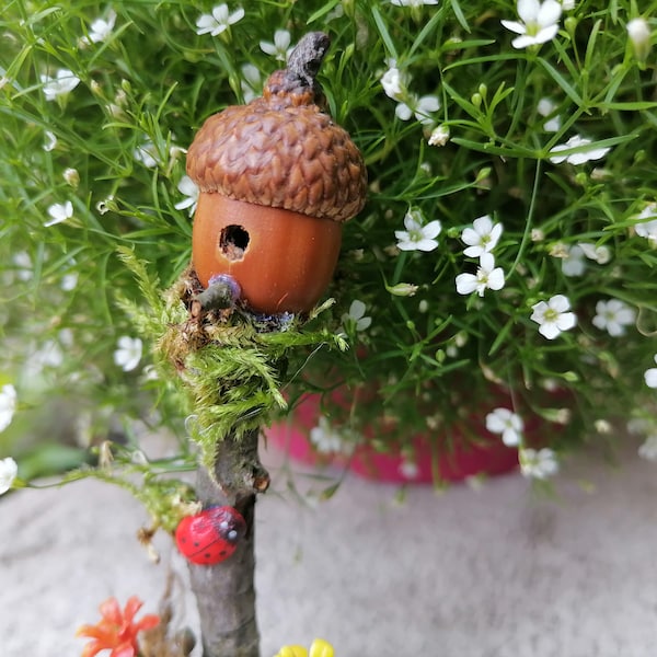 Acorn Bird House - Etsy