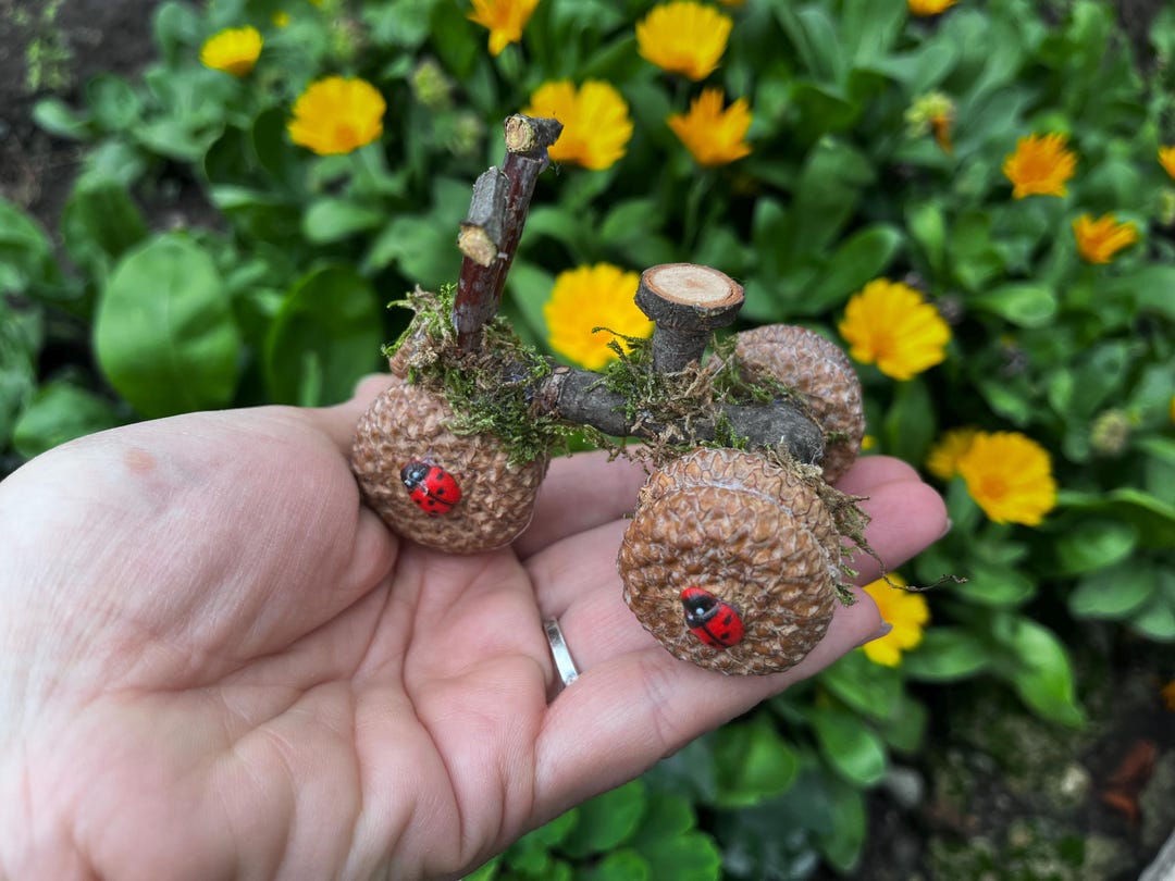 Miniature Fairy Tricycle Bike, Fairy Tricycle, Fairy Accessories, Fairy ...