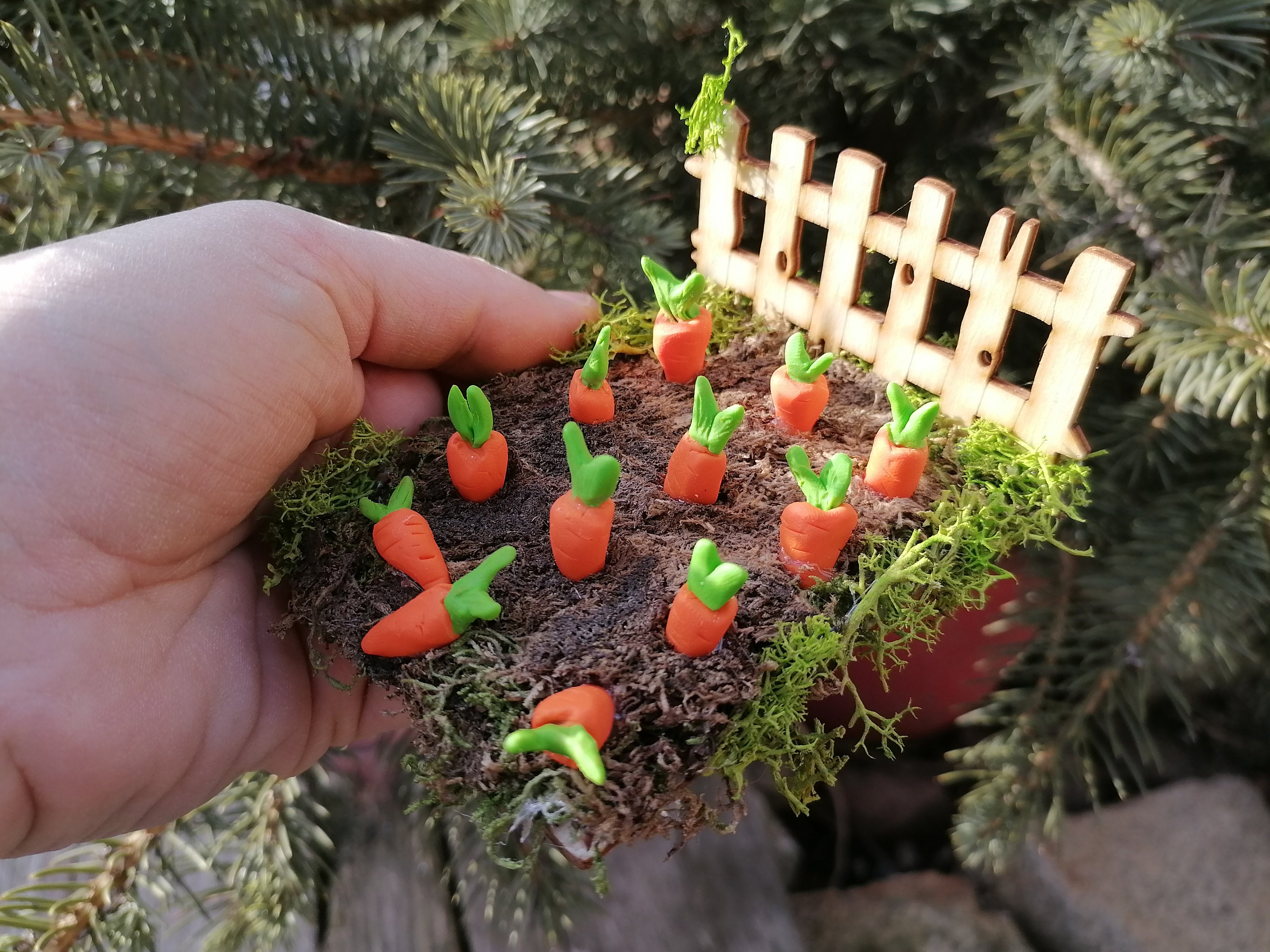 Fairy Garden Carrot Patch Miniature Carrots Carrot Patch - Etsy