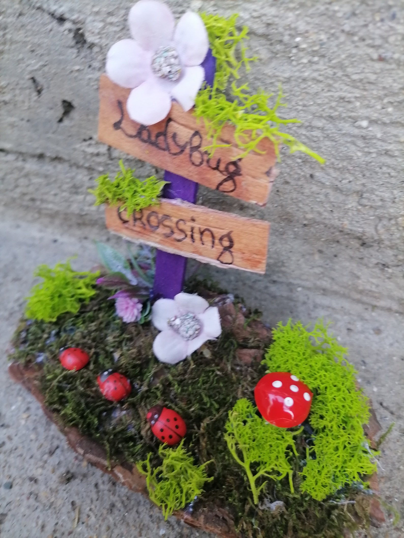 Fairy Sign Miniature Sign Fairy Accessory Garden Sign - Etsy