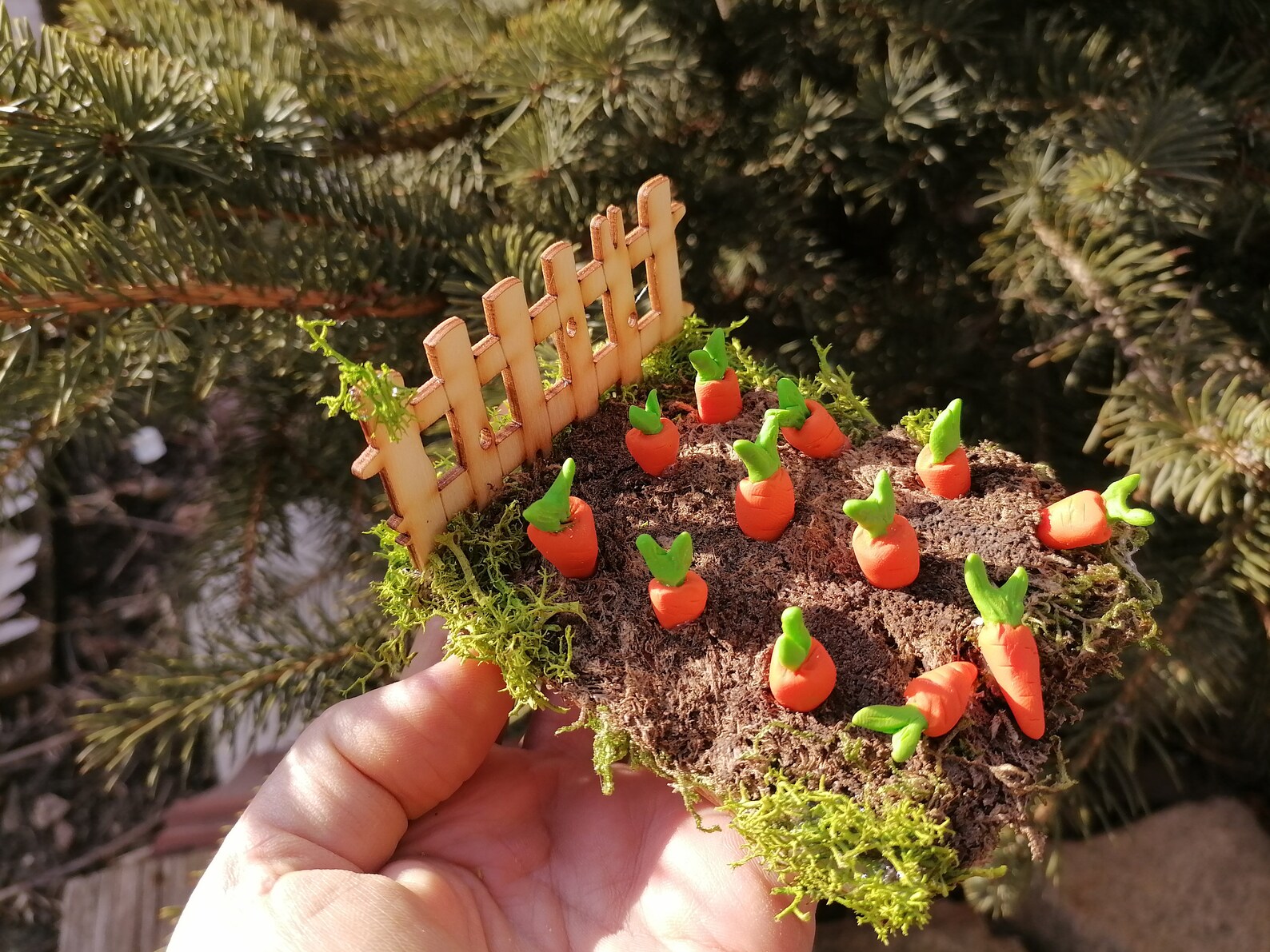 Fairy Garden Carrot Patch Miniature Carrots Carrot Patch - Etsy