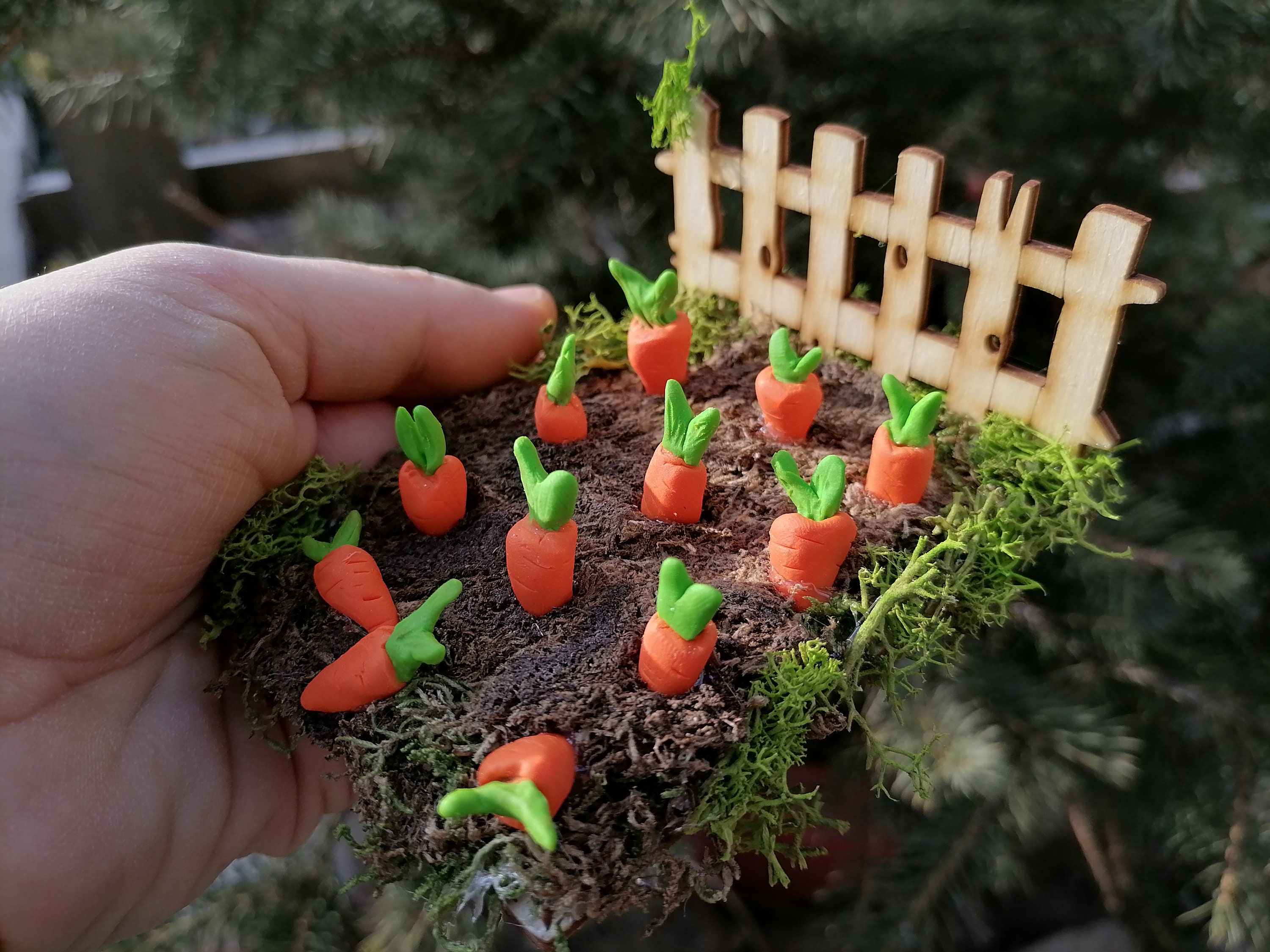 Fairy Garden Carrot Patch Miniature Carrots Carrot Patch - Etsy