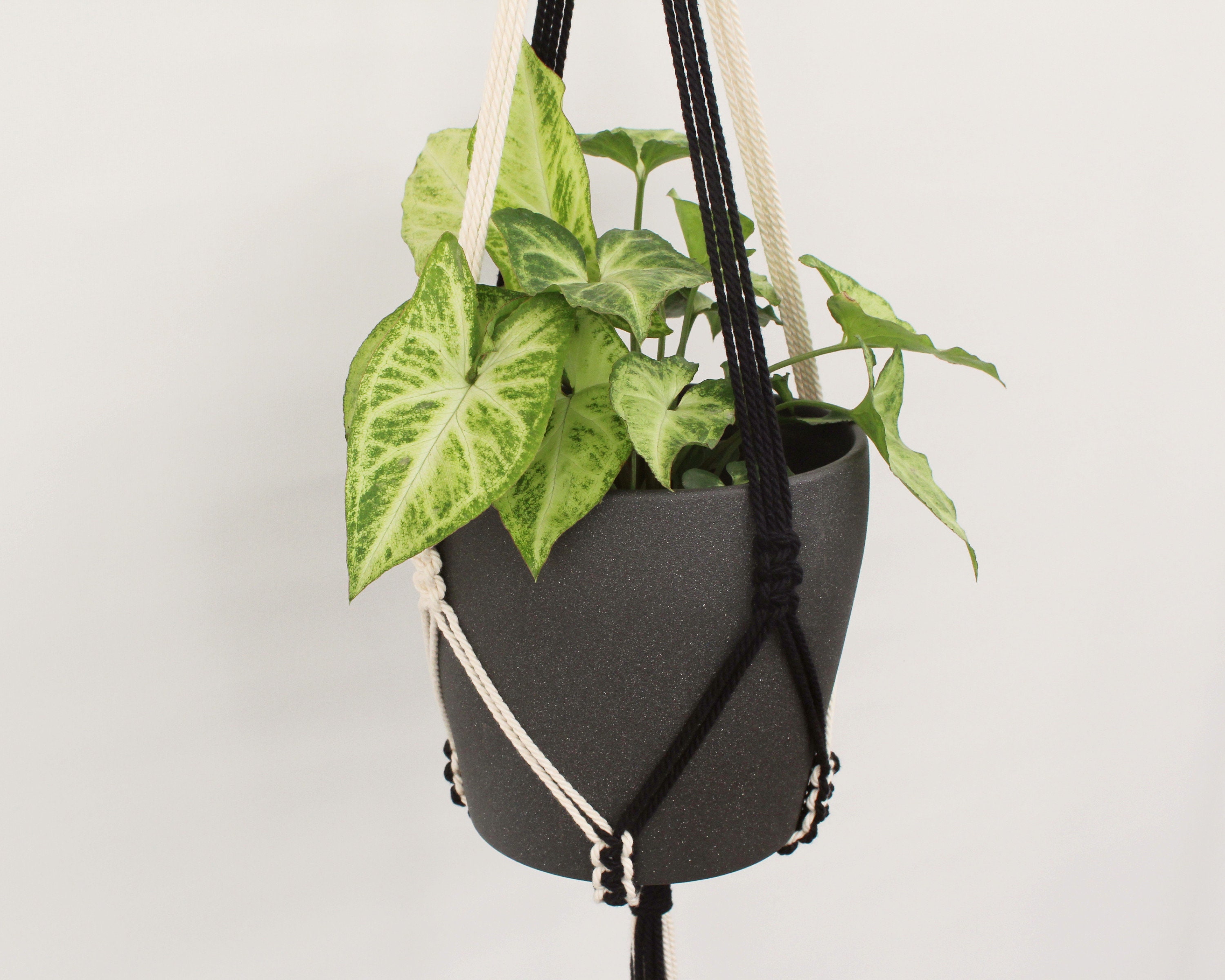 Macrame Plant Hanger, Modern Hanging Flower Pot, Fruit Basket Holder - Etsy