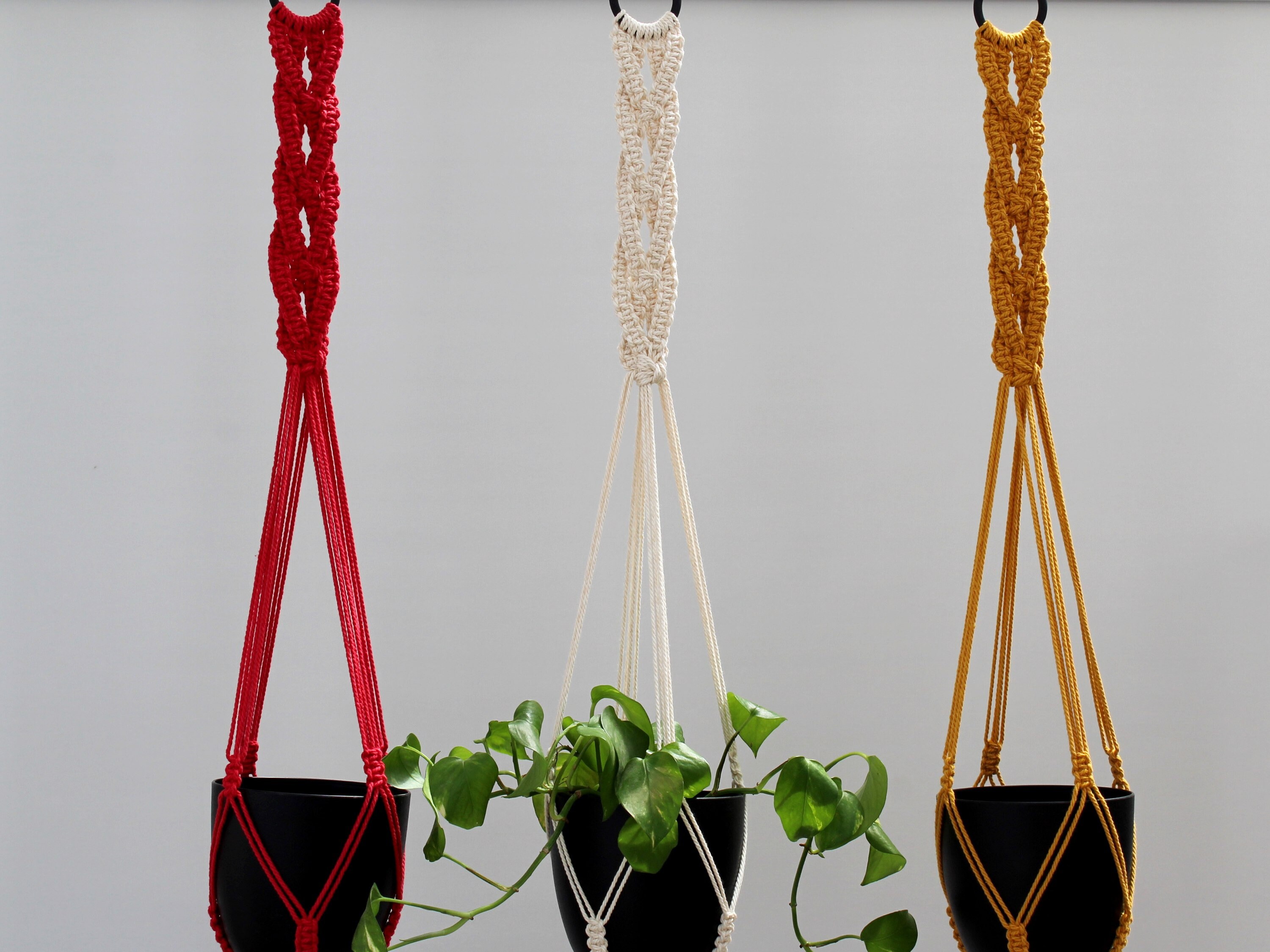 Macrame Plant Hanger, Modern Hanging Flower Pot, Fruit Basket Holder - Etsy