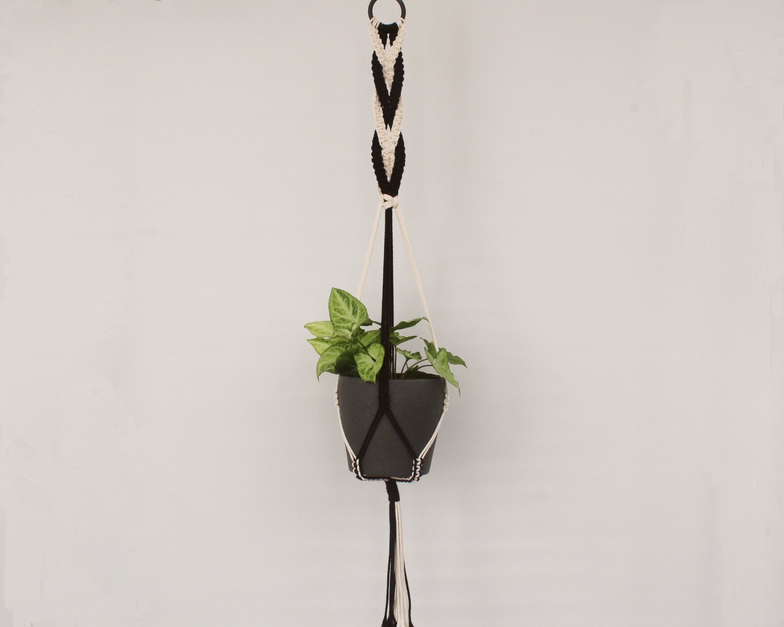 Macrame Plant Hanger, Modern Hanging Flower Pot, Fruit Basket Holder - Etsy