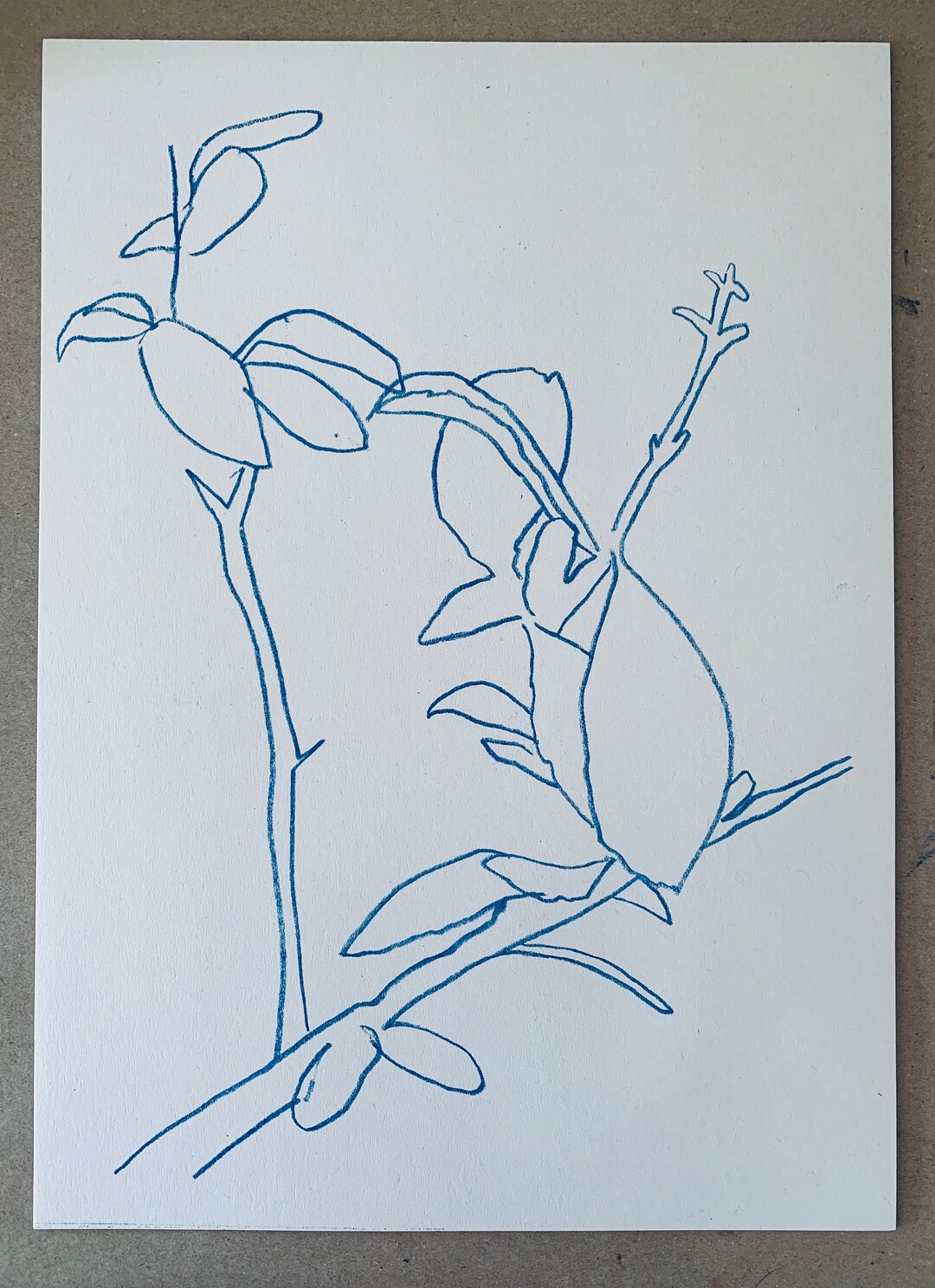 Plant Print - Etsy