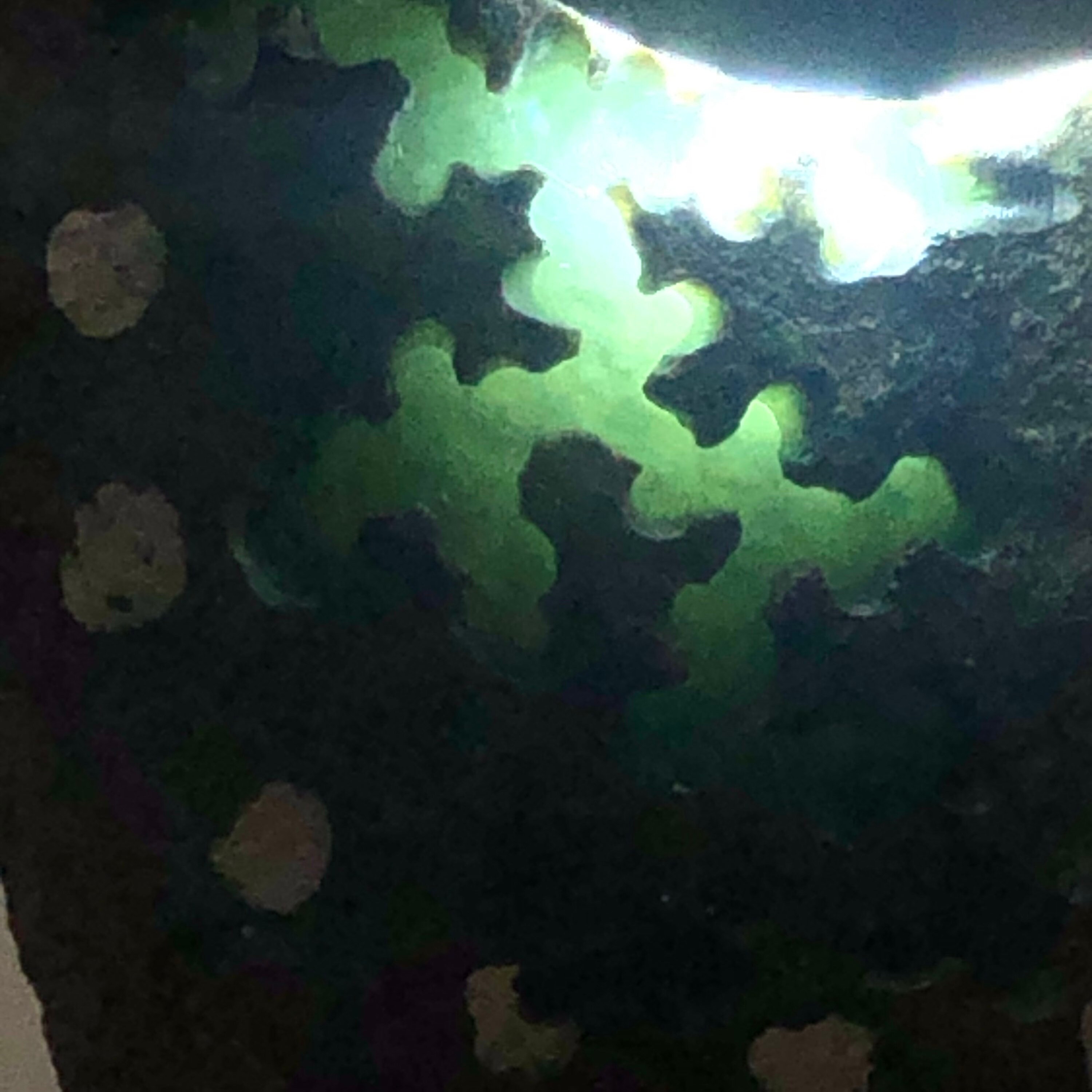 77g,icy Jadeite Rough,burmese Jade Stone,moxisha,raw Jadeite Rough ...