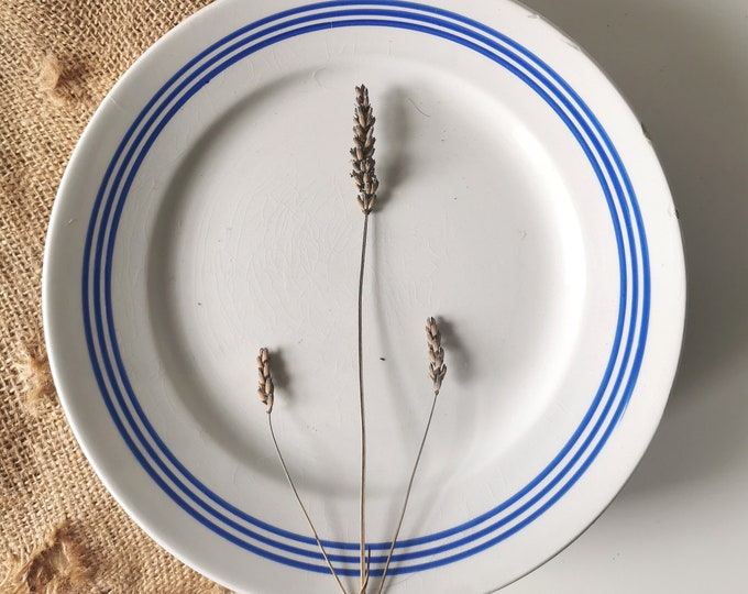 French Vintage Dinner Plates, Blue and White Striped, Luneville France ...