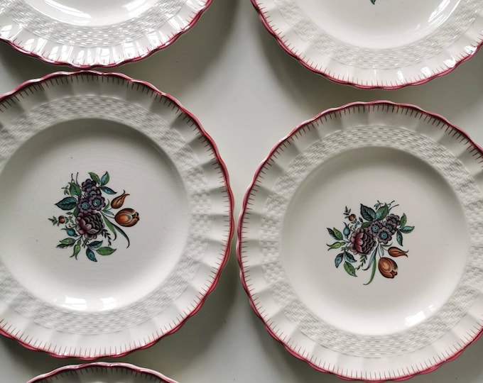 6 Vintage Spode Plates, French Flower Dessert Plates With a Pretty Pink ...