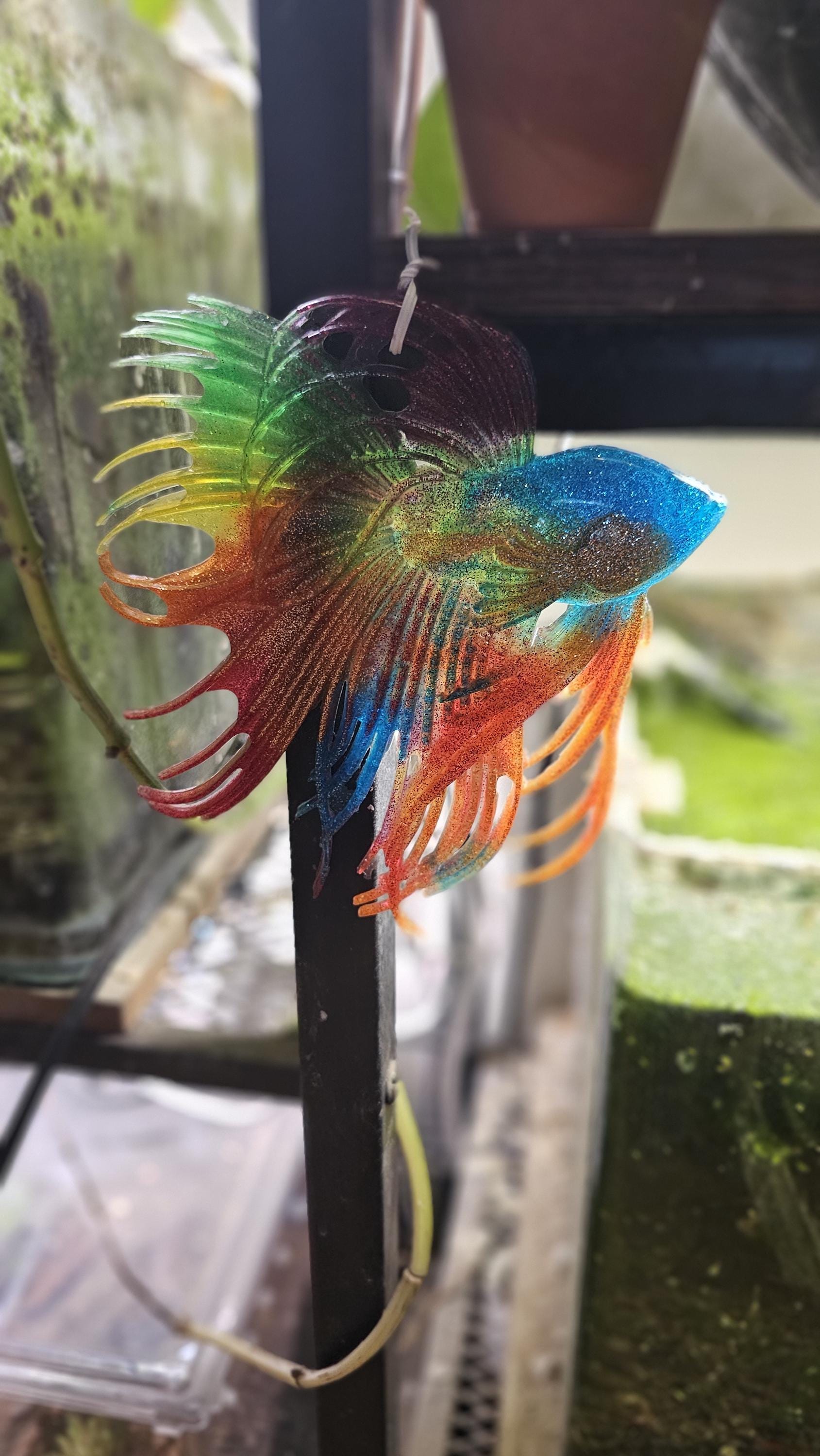 Large Resin Betta Fish - Etsy
