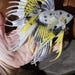 Small Resin Betta Fish - Etsy